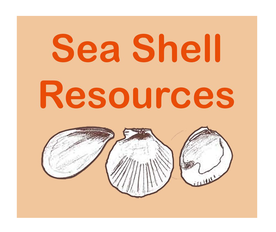 Sea Shell Resources - Marine Metre²