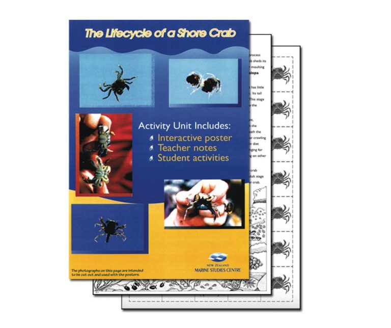 Life Cycle of a Shore Crab Teacher's Guide - Marine Metre²